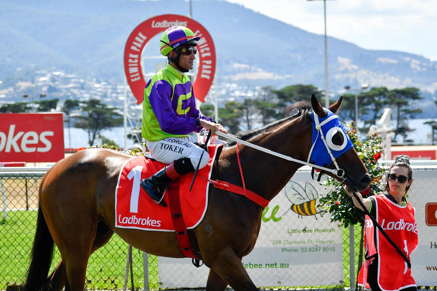 Online Thoroughbred Auction | Bloodstockauction.com