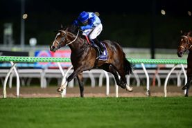 Online Thoroughbred Auction | Bloodstockauction.com